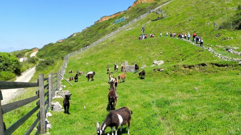 Découvrir Octeville sur Mer littoral Manche
